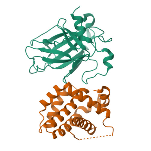 RCSB PDB - 8HLN: Crystal structure of p53/BCL2 fusion complex(complex3)