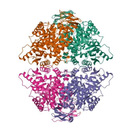 RCSB PDB - 8HMR: Crystal Structure of PKM2 mutant L144P