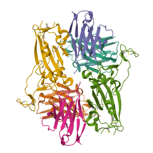 RCSB PDB - 8HN6: Crystal structure of monoclonal antibody complexed ...