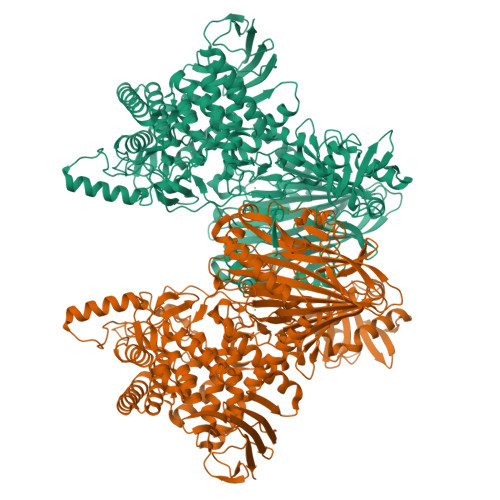 RCSB PDB - 8HNU: Cellodextrin phosphorylase stable variant from ...