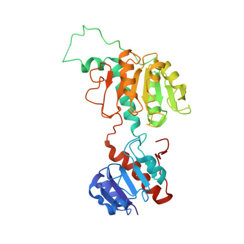 RCSB PDB - 8HPG: Crystal structure of phenylpyruvate reductase from ...