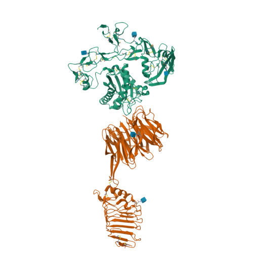 RCSB PDB - 8HQ2: Crystal structure of human ADAM22 in complex with ...