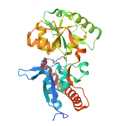 RCSB PDB - 8HQR: Crystal structure of the arginine-/lysine-binding ...