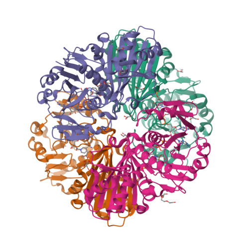 RCSB PDB - 8HRP: Crystal structure of glyceraldehyde-3-phosphate ...