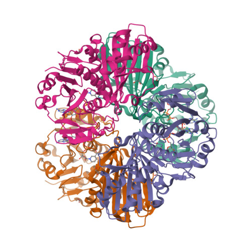RCSB PDB - 8HRR: Crystal structure of glyceraldehyde-3-phosphate ...