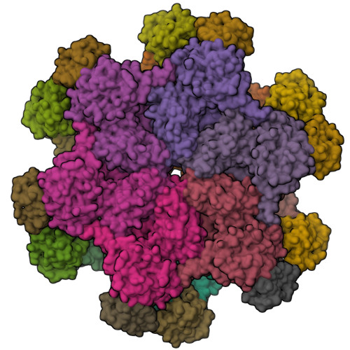 RCSB PDB - 8HRZ: Crystal structure of the p97-N/D1 hexamer in complex ...