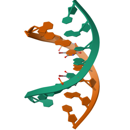 RCSB PDB - 8HU5: Crystal structure of DNA octamer containing GuNA[Me,tBu]