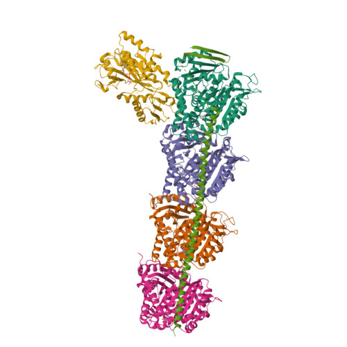 RCSB PDB - 8HUH: Crystal structure of T2R-TTL-3a complex