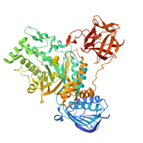 RCSB PDB - 8HVD: Crystal structure of lacto-N-biosidase StrLNBase from ...