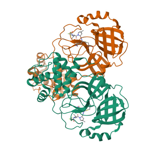 RCSB PDB - 8HVM: Crystal structure of SARS-Cov-2 main protease K90R ...