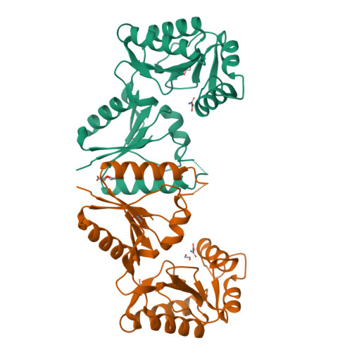 RCSB PDB - 8HVQ: Crystal structure of haloacid dehalogenase-like ...