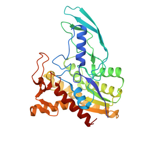 RCSB PDB - 8HWP: Crystal Structure of Mutant GDSL Esterase of ...