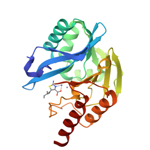 RCSB PDB - 8HXW: Crystal structure of B1 VIM-2 MBL in complex with 2 ...
