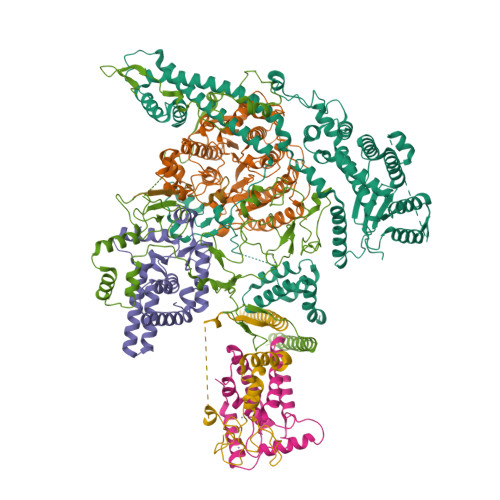 RCSB PDB - 8HXX: Cryo-EM structure of the histone deacetylase complex Rpd3S