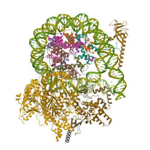 RCSB PDB - 8HXY: Cryo-EM structure of the histone deacetylase complex ...