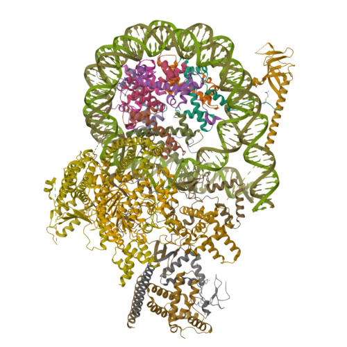 RCSB PDB - 8HY0: Composite cryo-EM structure of the histone deacetylase ...