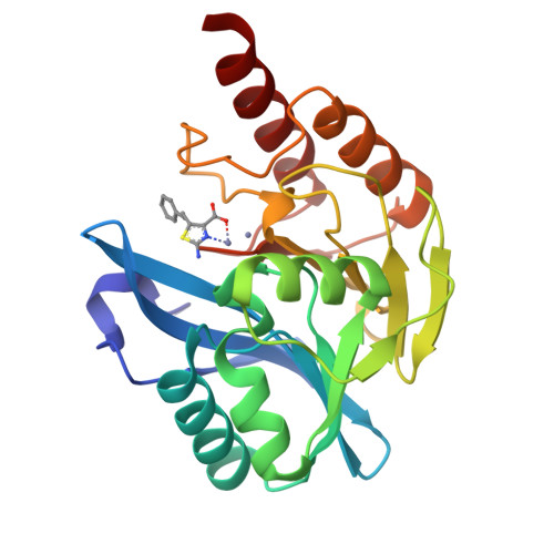 RCSB PDB - 8HY2: Crystal structure of B1 VIM-2 MBL in complex with 2 ...