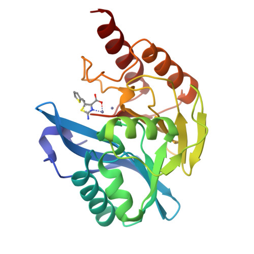 RCSB PDB - 8HYD: Crystal structure of B1 VIM-2 MBL in complex with 2 ...