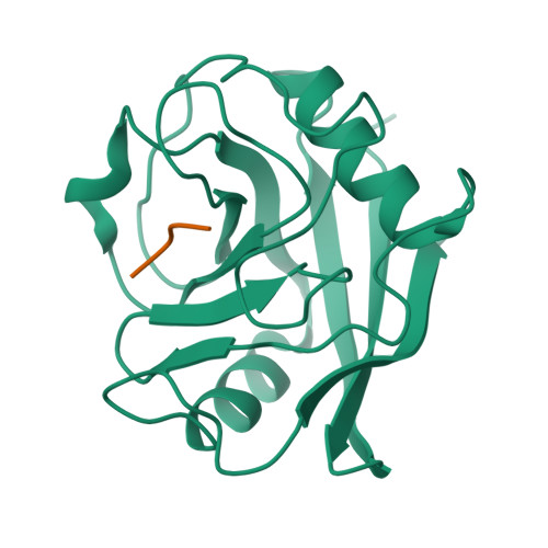 RCSB PDB - 8HZ8: Structure of PPIA in complex with the peptide of NRF2
