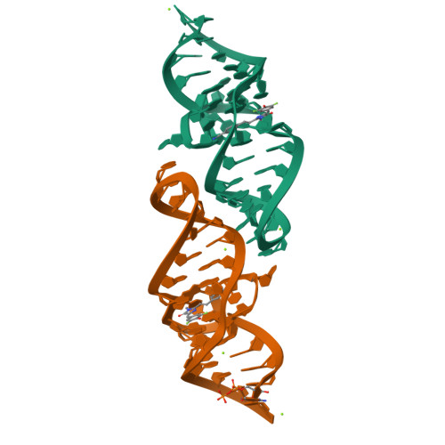 RCSB PDB - 8HZD: A new fluorescent RNA aptamer bound with N618