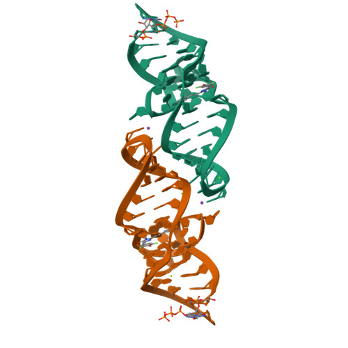 RCSB PDB - 8HZJ: A new fluorescent RNA aptamer bound with N571