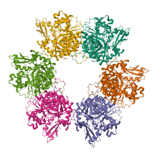 RCSB PDB - 8HZX: Acyl-ACP synthetase structure-2