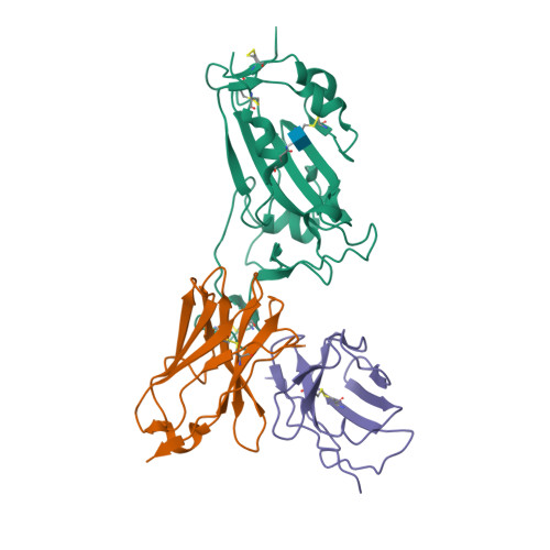RCSB PDB - 8I3S: Local CryoEM structure of the SARS-CoV-2 S6P in ...