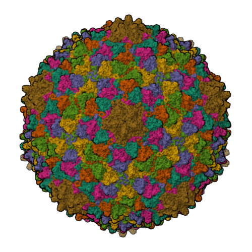 RCSB PDB - 8I4L: Capsid structure of the Cyanophage P-SCSP1u