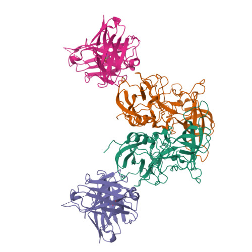 RCSB PDB - 8I5L: Crystal structure of P domain from norovirus GI.4 ...