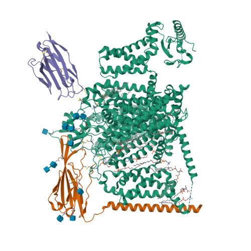 RCSB PDB - 8I5X: Structure of human Nav1.7 in complex with Vinpocetine