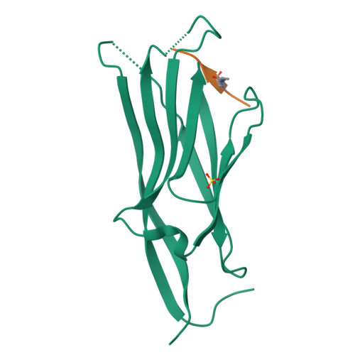 RCSB PDB - 8I60: Crystal structure of GAS41 YEATS domain in complex ...