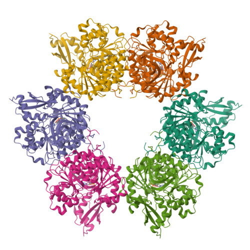 RCSB PDB - 8I6M: Acyl-ACP synthetase structure bound to AMP-C18:1