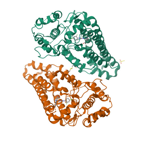 RCSB PDB - 8I7L: Crystal structure of indoleamine 2,3-dioxygenagse 1 ...