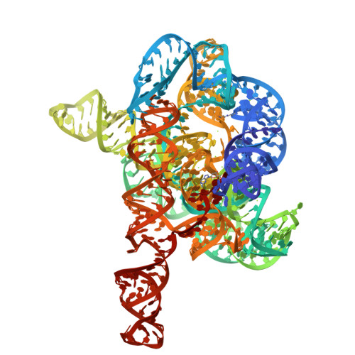 RCSB PDB - 8I7N: The Tet-S1 state of G264A mutated Tetrahymena group I ...