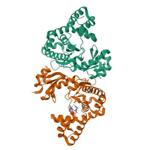 RCSB PDB - 8I89: Crystal structure of Cph001-D189N in complex with VIO