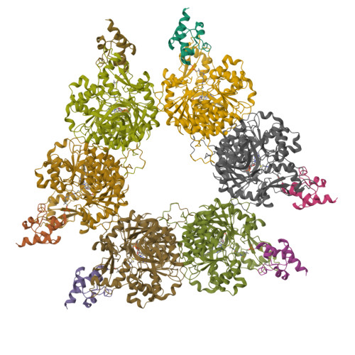 RCSB PDB - 8I8E: Acyl-ACP synthetase structure bound to C18:1-ACP
