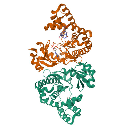 RCSB PDB - 8I8H: Crystal structure of Cph001-D189N in complex with VIO ...