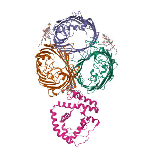 RCSB PDB - 8I8R: Cryo-EM Structure of OmpC3-MlaA Complex in MSP2N2 Nanodiscs