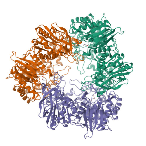 RCSB PDB - 8IBR: Crystal structure of GH42 beta-galactosidase BiBga42A ...