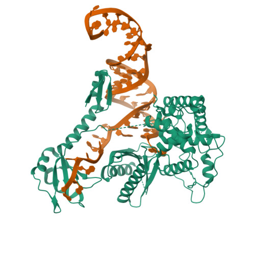 RCSB PDB - 8IDF: Crystal structure of human TUT1 complexed with U6 snRNA