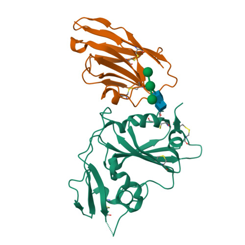 RCSB PDB - 8IDO: Crystal structure of nanobody VHH-T148 with MERS-CoV RBD