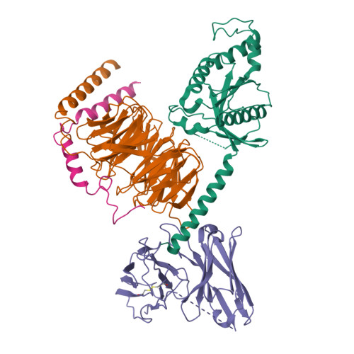 RCSB PDB - 8IEC: Cryo-EM structure of miniGo-scFv16 of GPR156-miniGo ...