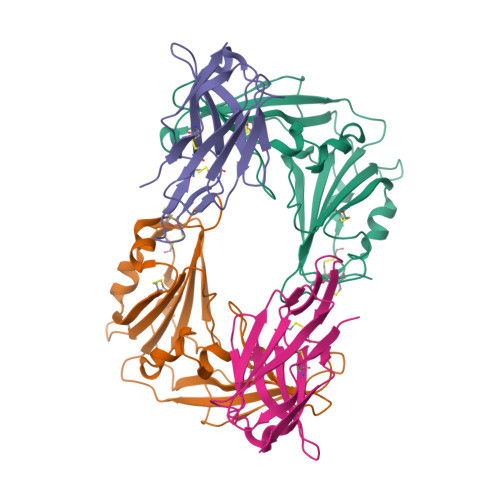 RCSB PDB - 8IEE: Crystal structure of nanobody VHH-31 with MERS-CoV RBD