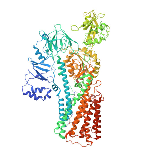 RCSB PDB - 8IEN: Cryo-EM structure of ATP13A2 in the E2-Pi state