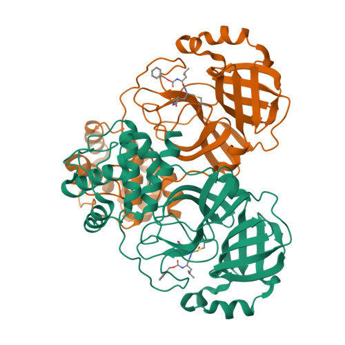 RCSB PDB - 8IG7: Crystal structure of SARS-Cov-2 main protease G15S ...