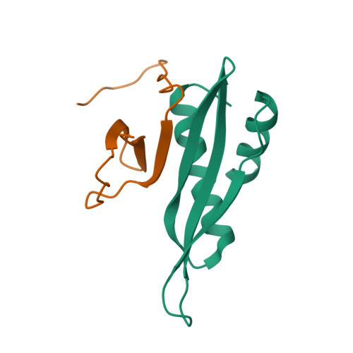 RCSB PDB - 8IGD: The crystal structure of the minimal interaction ...