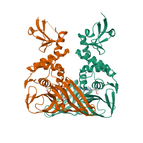 RCSB PDB - 8IHO: Crystal structures of SARS-CoV-2 papain-like protease in complex with covalent ...