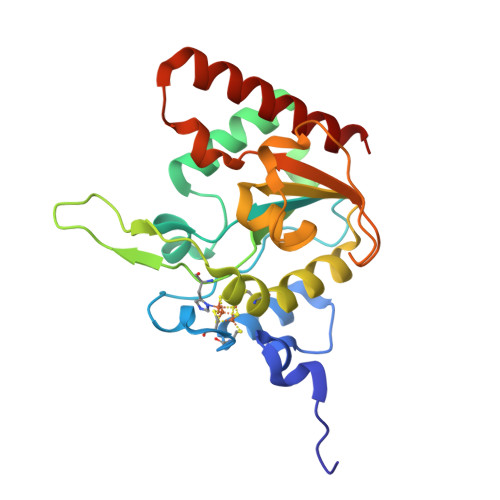 RCSB PDB - 8IIS: MsmUdgX H109S/R184A double mutant