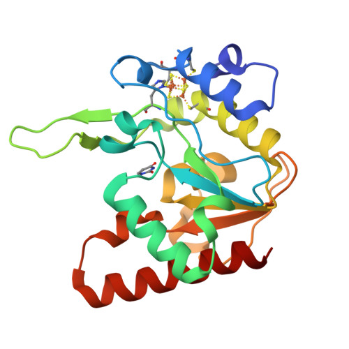 RCSB PDB - 8IIT: Complex form of MsmUdgX H109S/R184A double mutant and ...