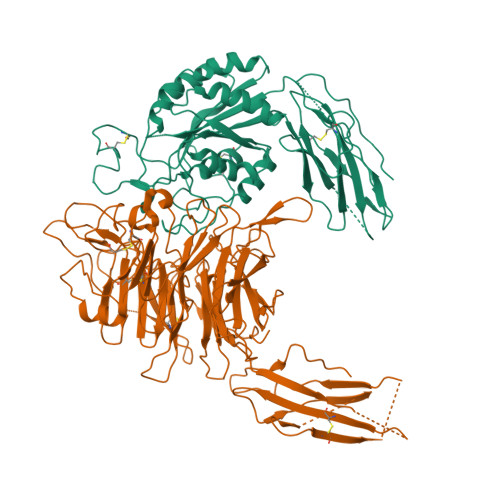 RCSB PDB - 8IJ5: Cryo-EM structure of Integrin AVB3